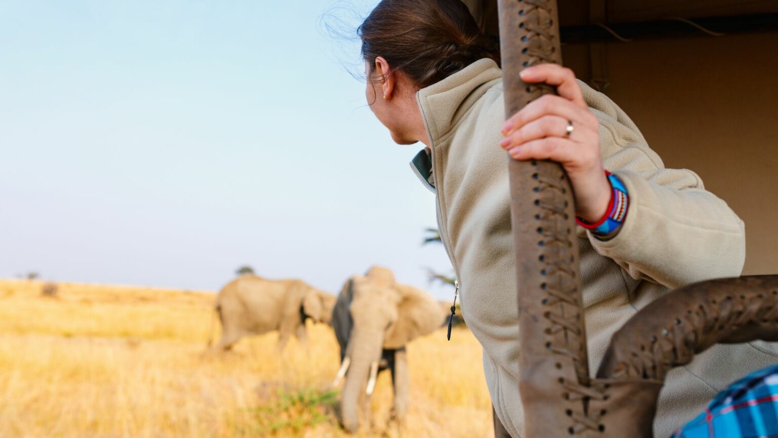 How Smart Technology is Revolutionizing Wildlife Research Methods and ...